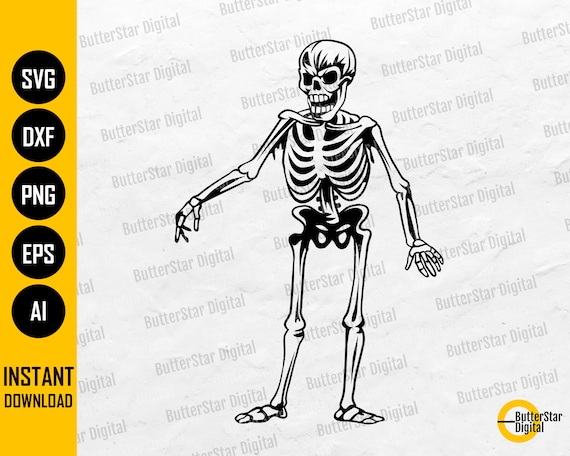 Standing Skeleton SVG Human Bones SVG Skeletal SVG - Etsy