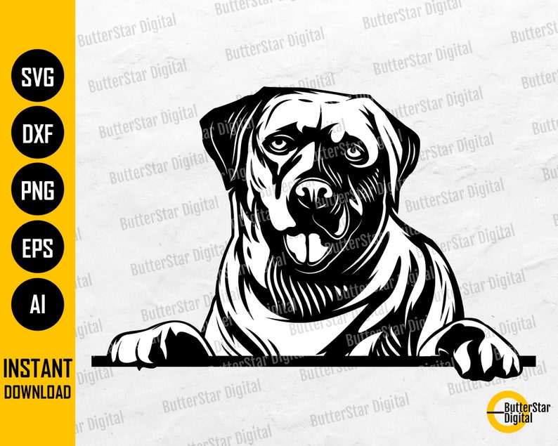 Labrador SVG Dog SVG Labrador Retriever Illustration - Etsy