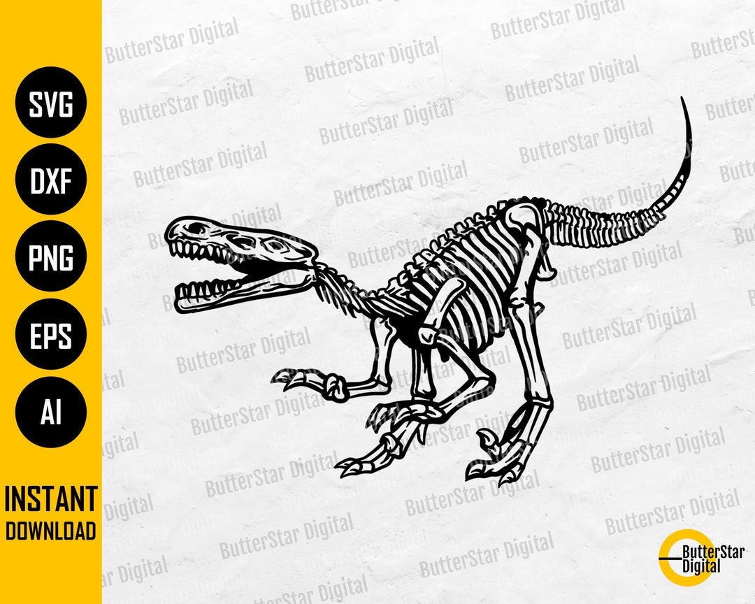 Raptor Skeleton SVG | Velociraptor SVG | Dinosaur Decals Shirt Vinyl ...