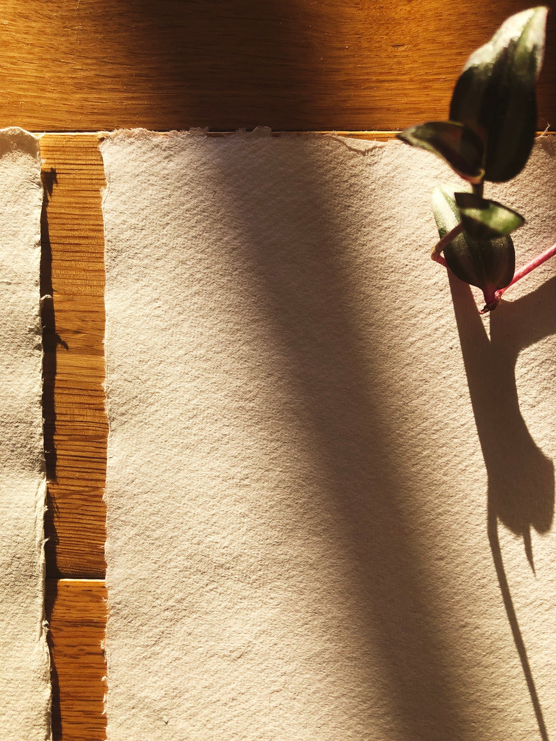 100% Indian Cotton Rag Handmade Paper Custom Typewriter Print - Etsy UK