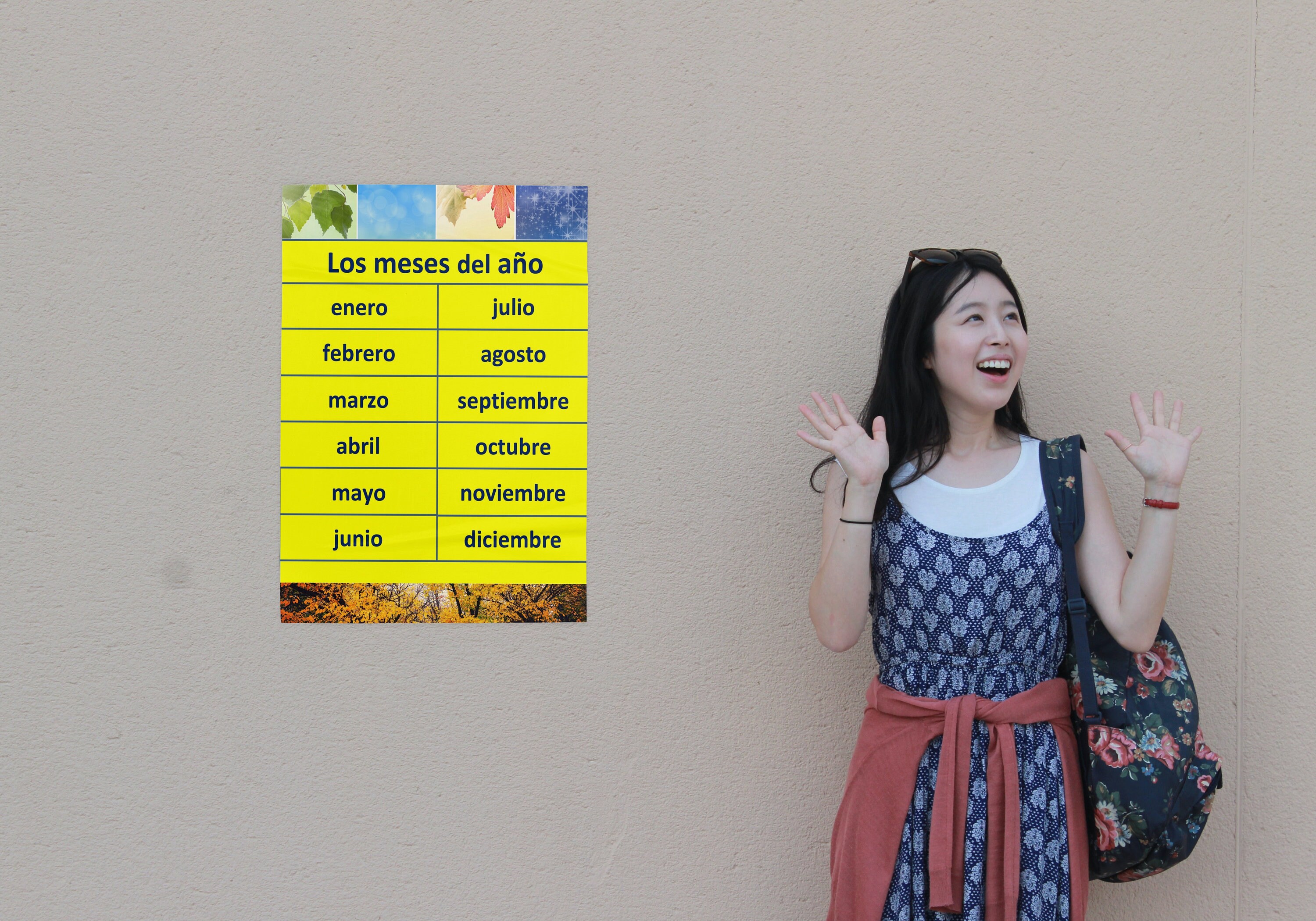 Classroom Poster, Spanish Months of the Year, Los Meses Del Año, Months ...