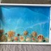 Handmade Resin Seashells Wooden Large Tray - Etsy