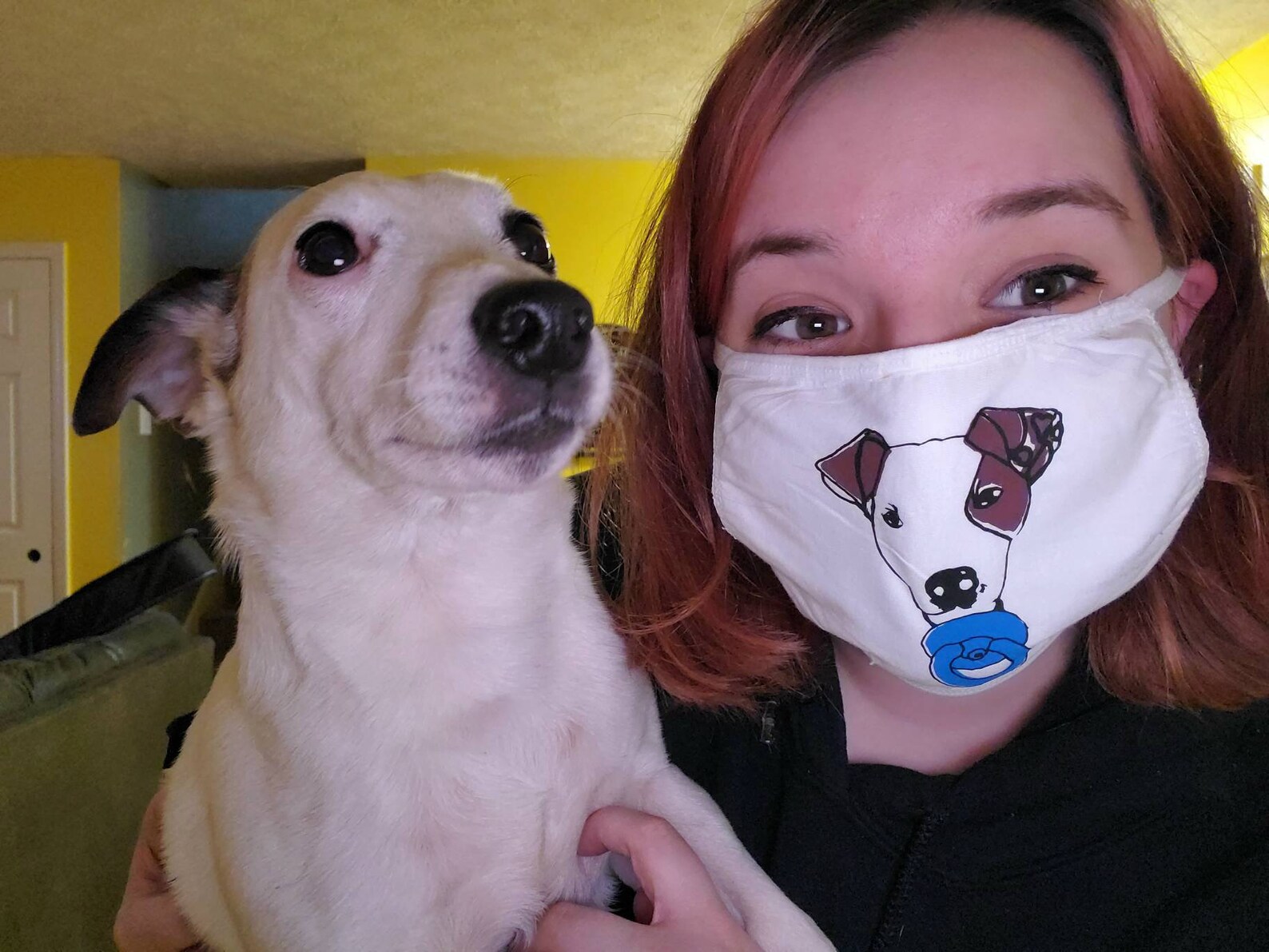 Personalized Pet Mask - Etsy