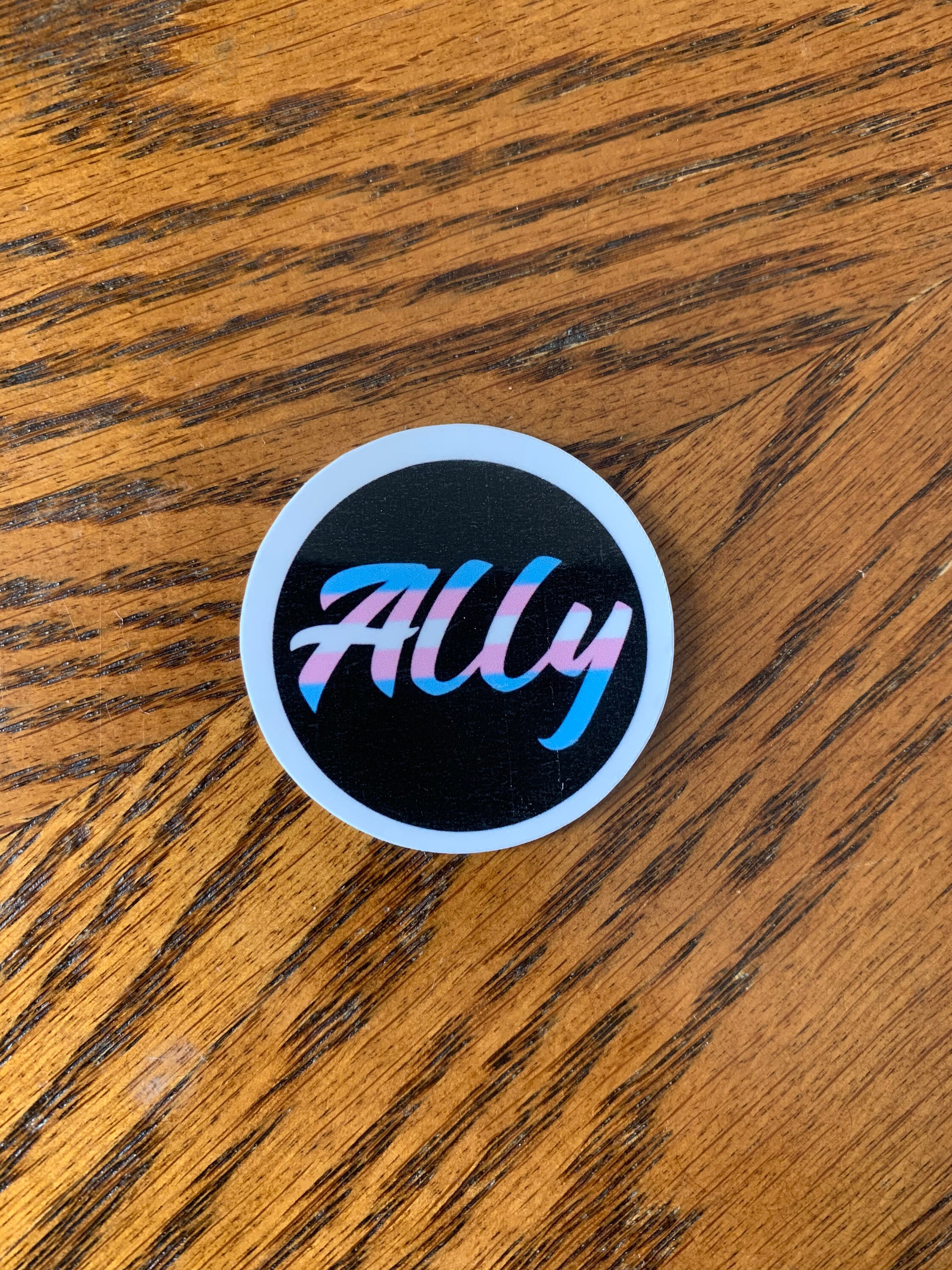 Ally Pride Stickers Trans and Gay Circle Stickers | Etsy