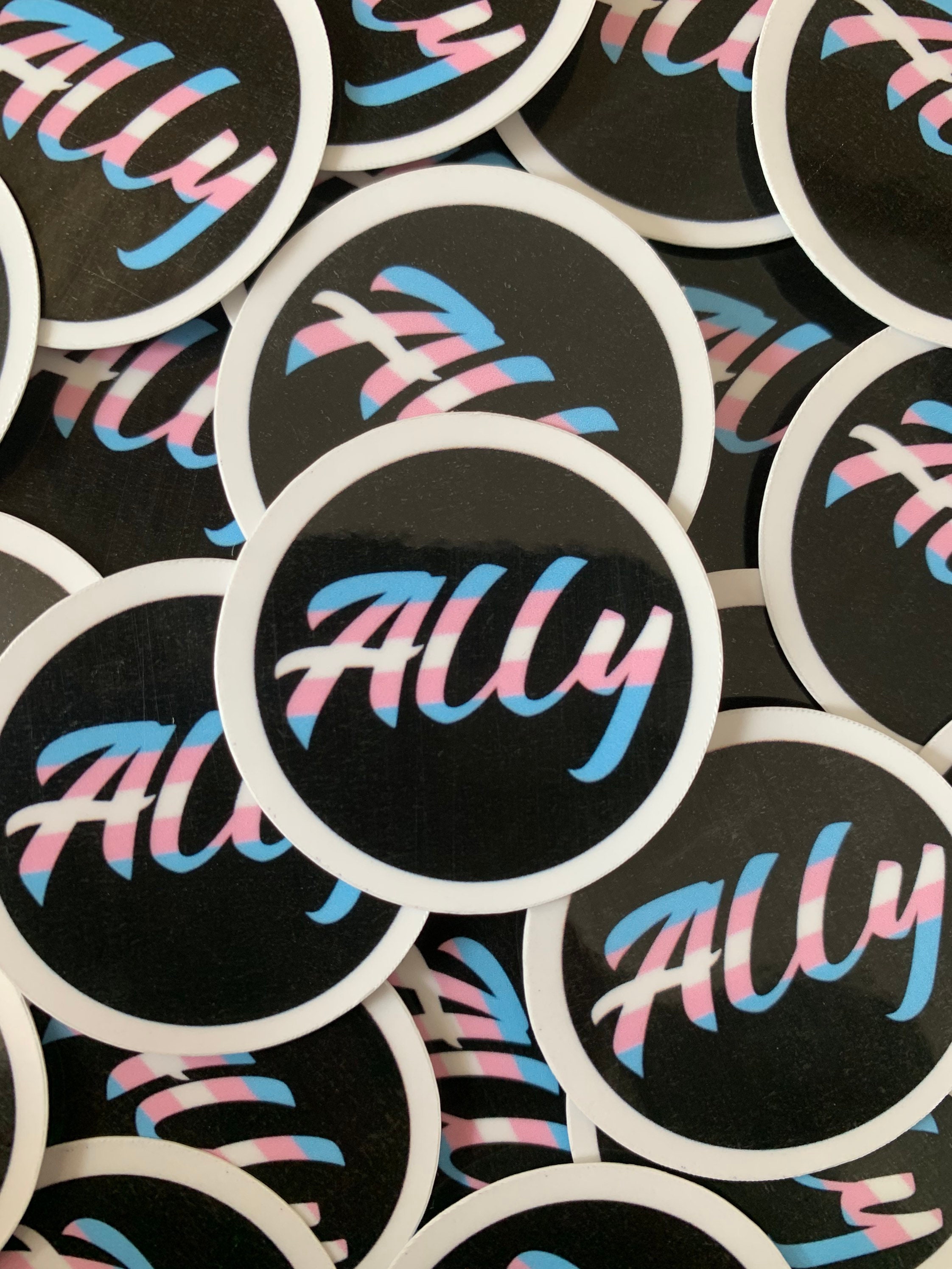 Ally Pride Stickers Trans and Gay Circle Stickers | Etsy