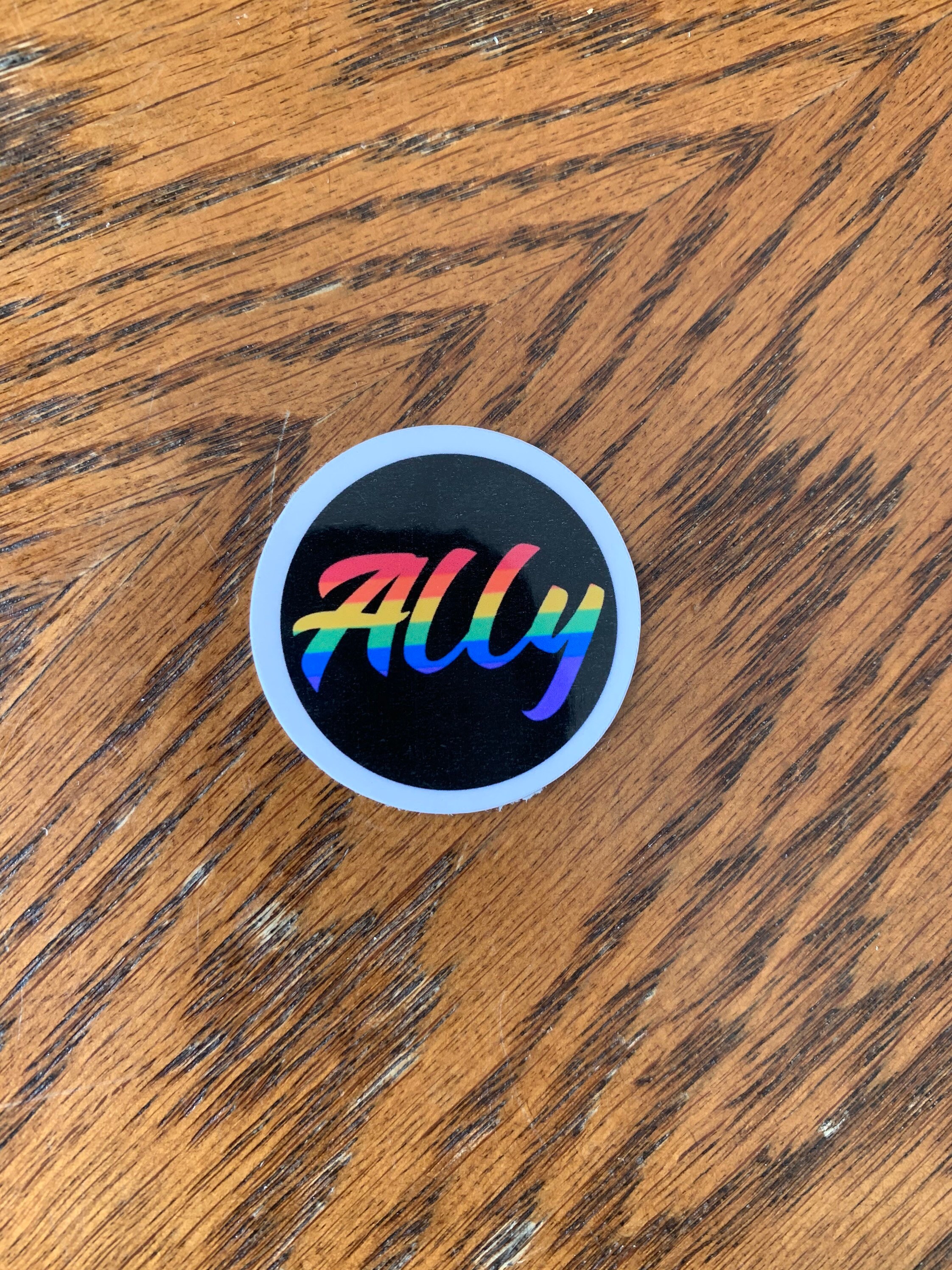 Ally Pride Stickers Trans and Gay Circle Stickers | Etsy