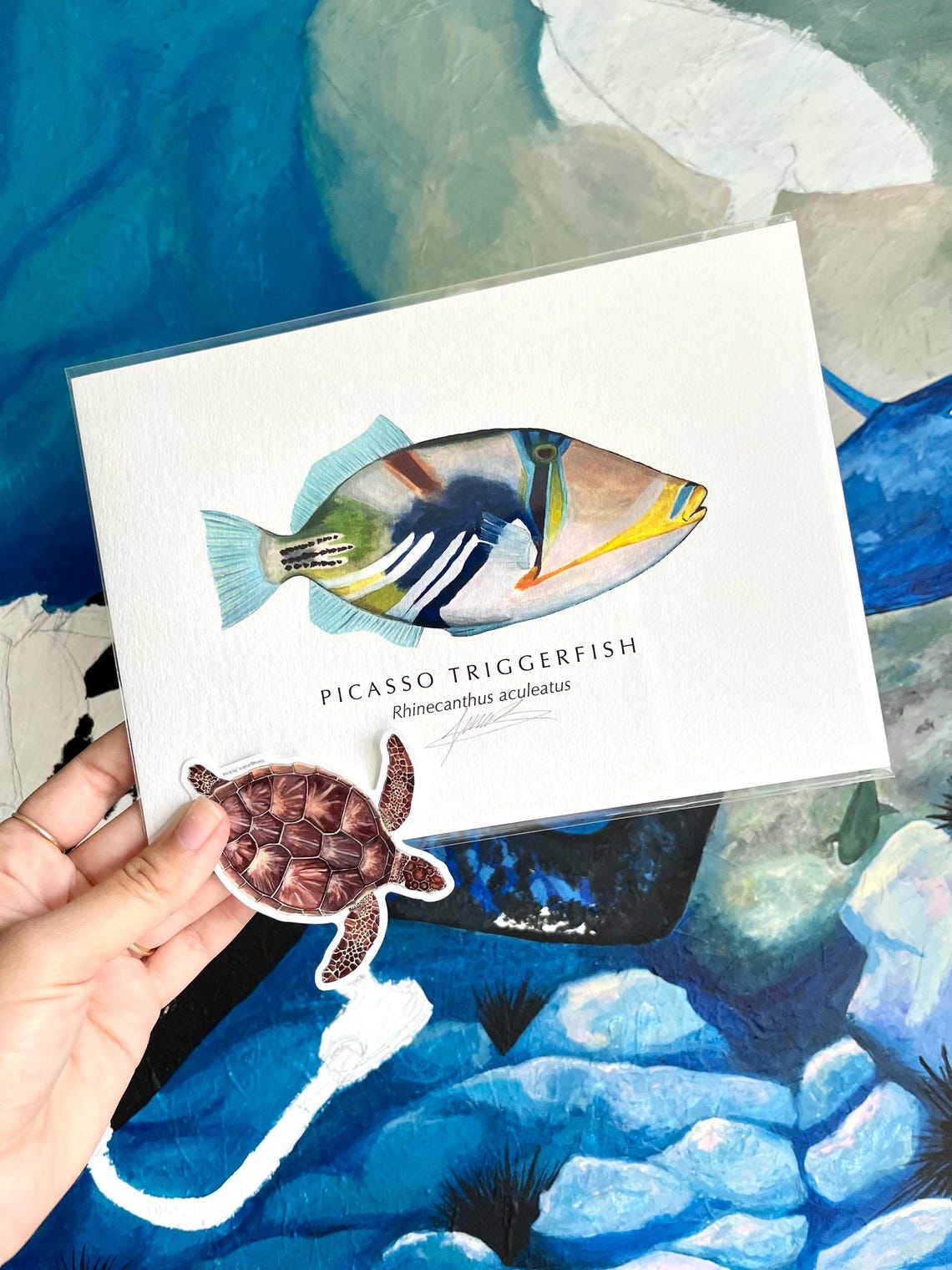 Picasso Triggerfish Art Print - Etsy