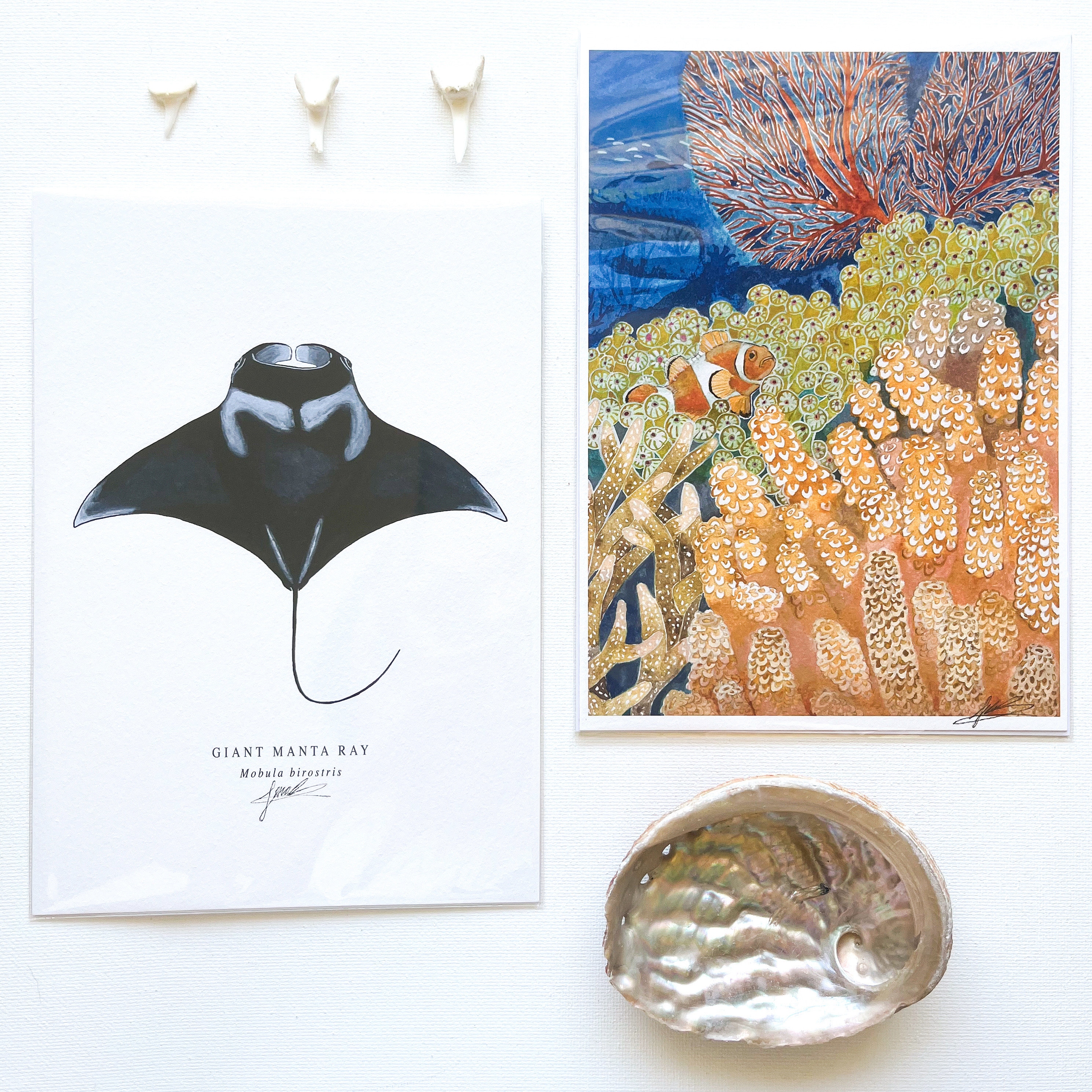 Manta Ray Art Print - Etsy