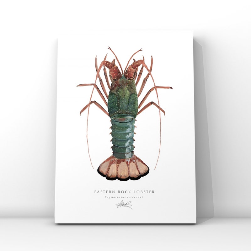 SeagardenByLena - Etsy Australia