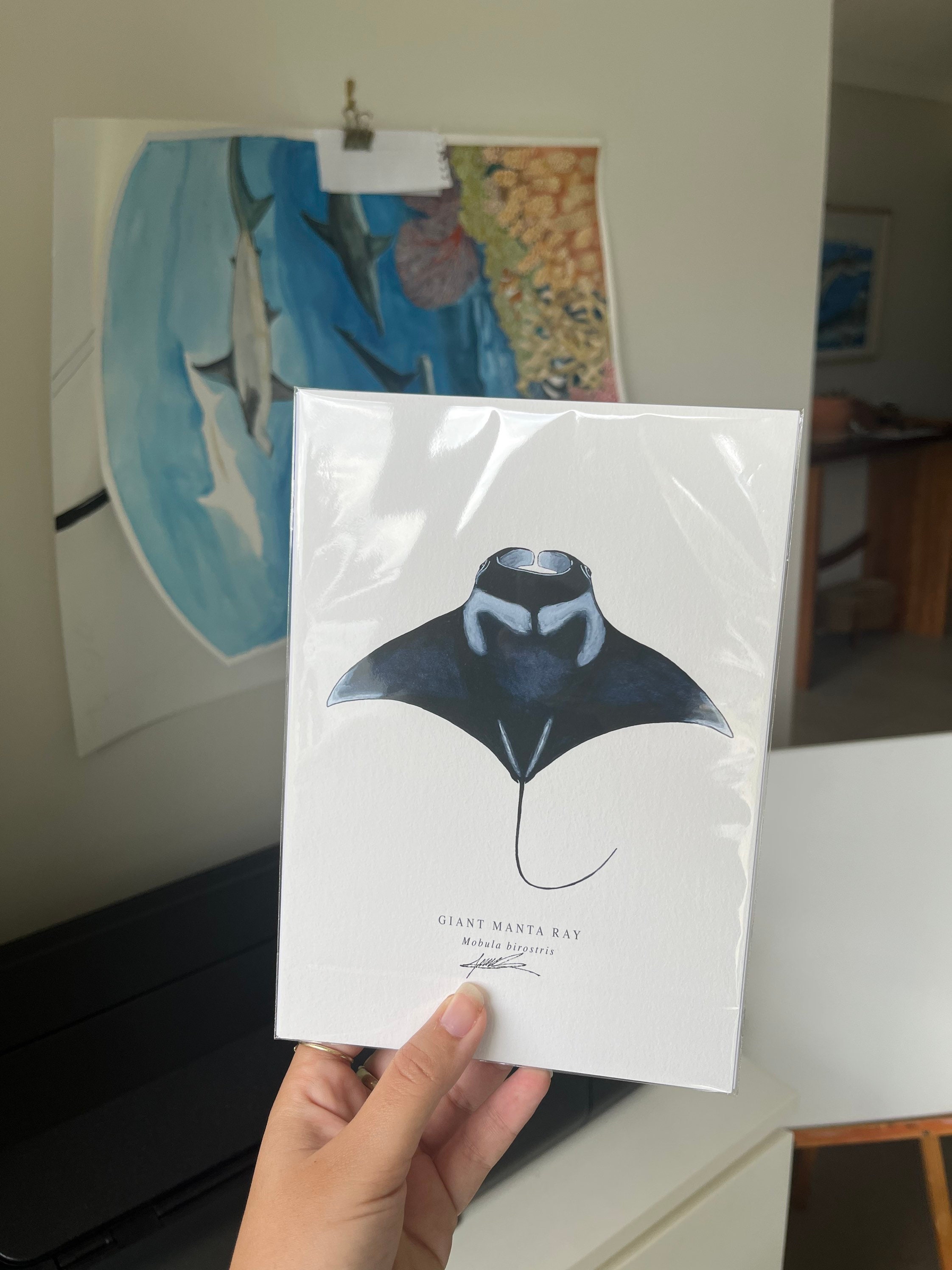 Manta Ray Art Print - Etsy