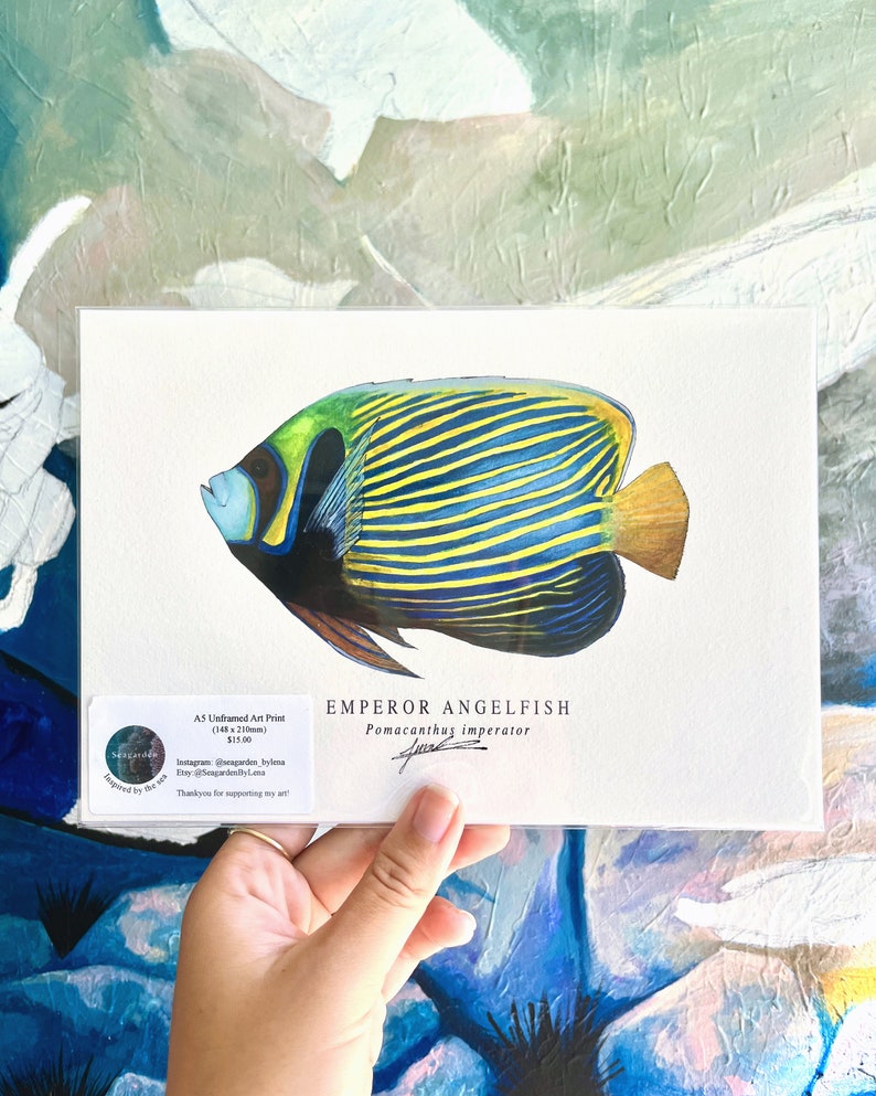 Emperor Angelfish Art Print - Etsy