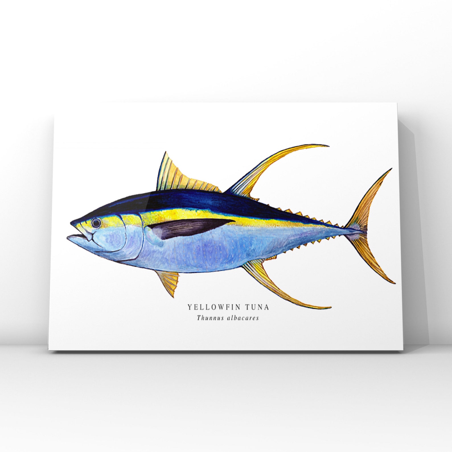 Yellowfin Tuna Art Print - Etsy