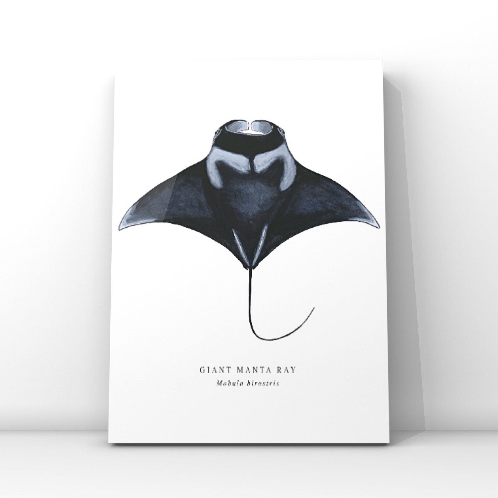 Manta Ray Art Print - Etsy Australia