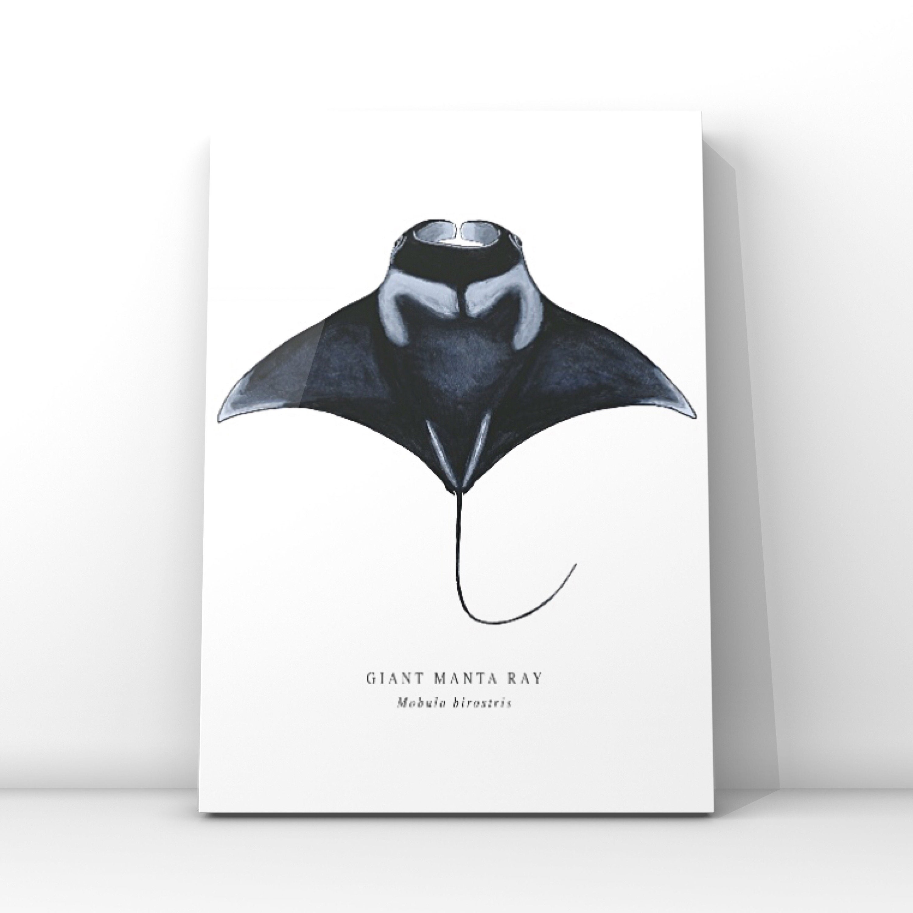 Manta Ray Art Print - Etsy Australia