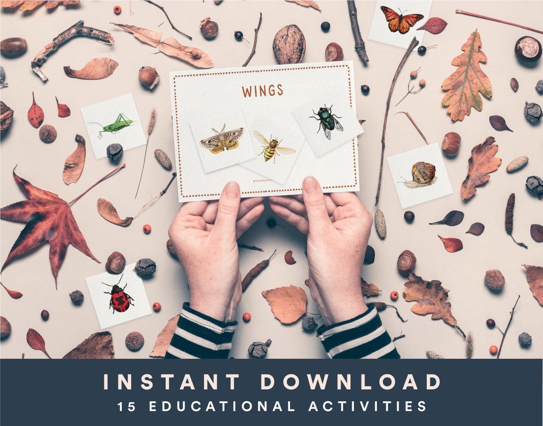 Bug Activities, Montessori Activities, Preschool Activities, Activity ...