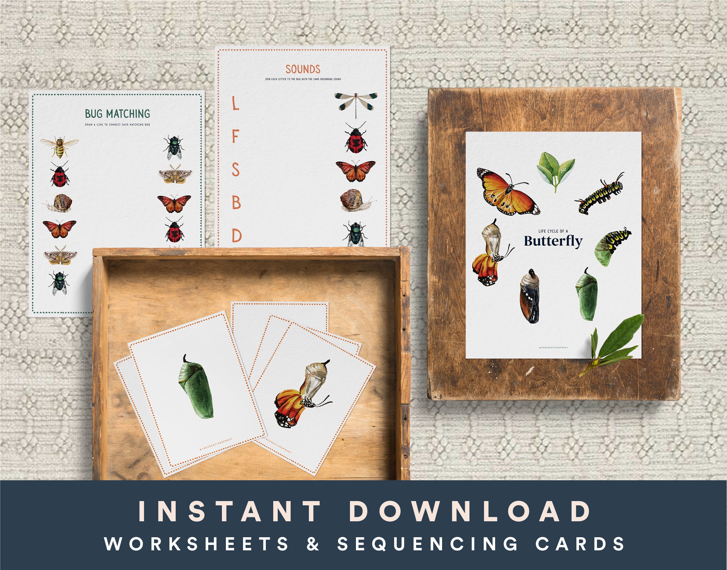 Bug Activities Montessori Activities Preschool Activities - Etsy Australia