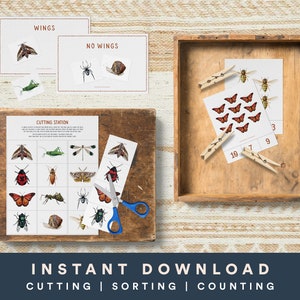 Bug Activities Montessori Activities Preschool Activities - Etsy Australia