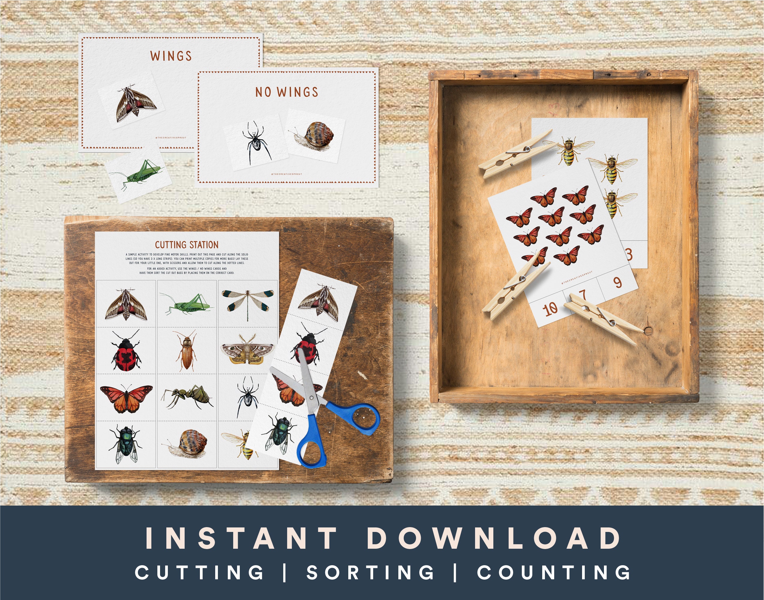 Bug Activities, Montessori Activities, Preschool Activities, Activity ...