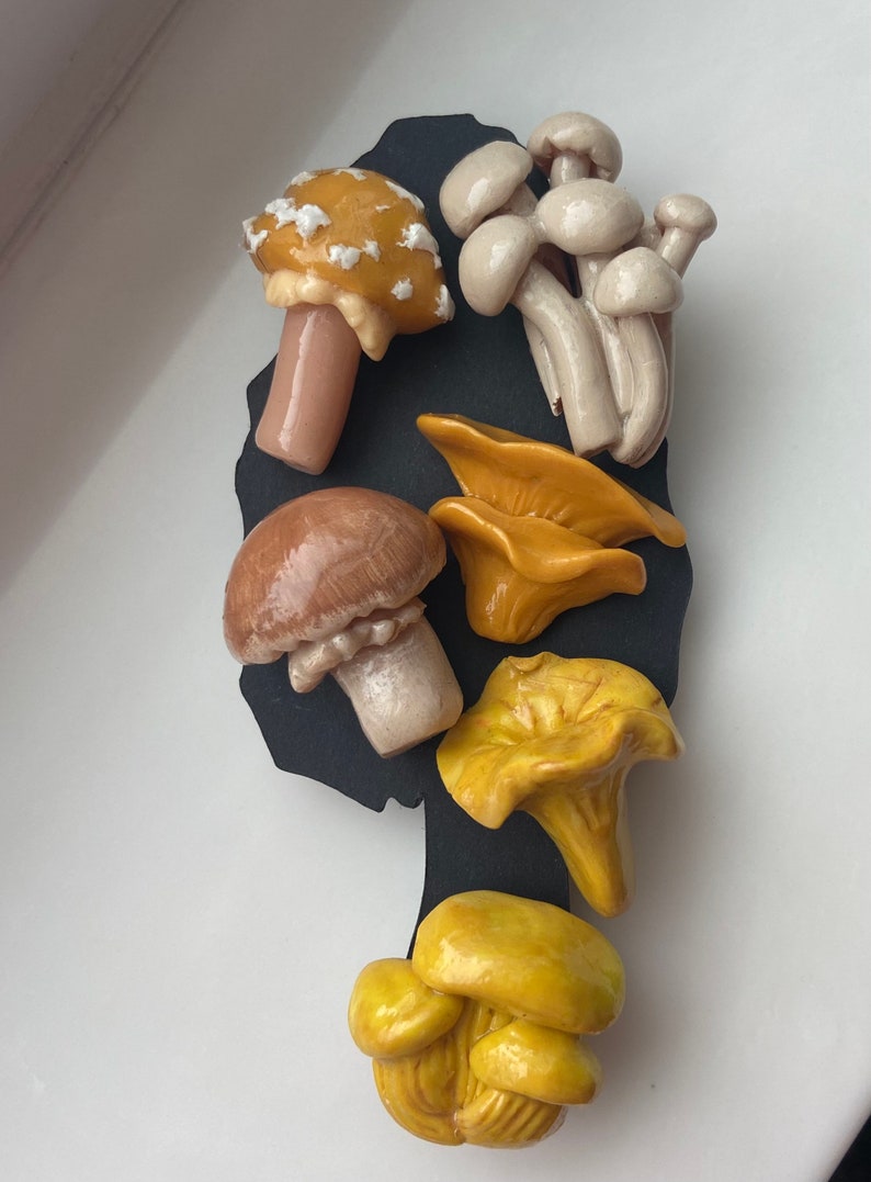 Handmade Clay Mushroom Pin or Magnet: Cottagecore Forager Gift - Etsy