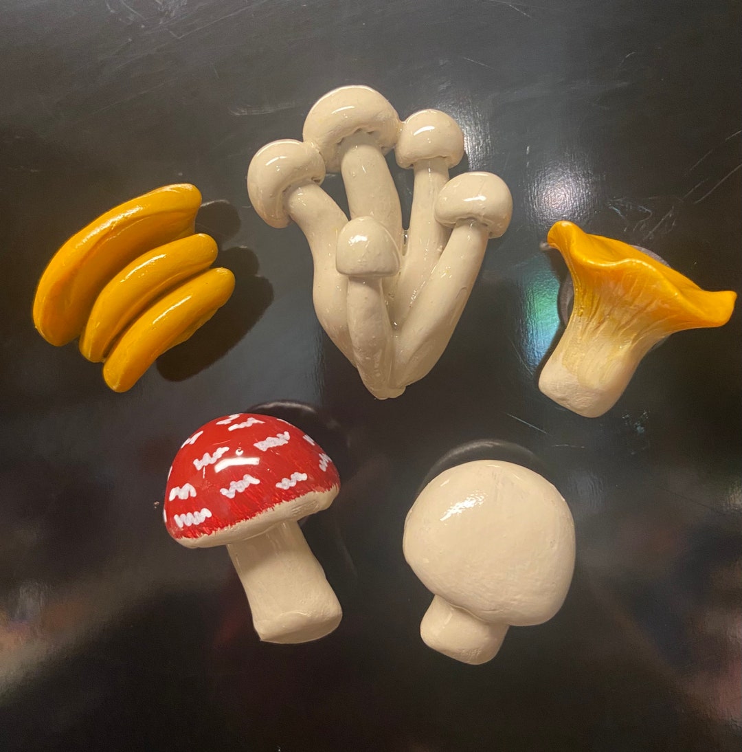 Mushroom Magnet or Pin Set, 5 Piece Refrigerator Magnets, Cottagecore ...