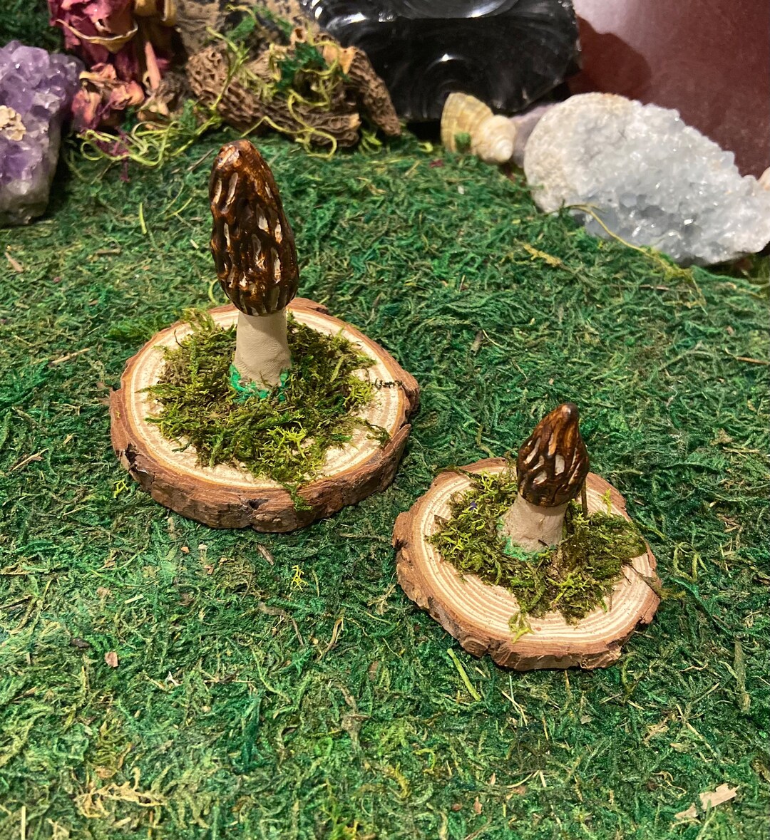 Morel Mushroom Miniature Shelf Art, Diorama Mushrooms Nature Forest Art ...