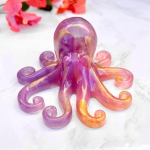 Oahu Sea Octopus Hawaii Vacation Keepsake Tako New Home Gift College ...