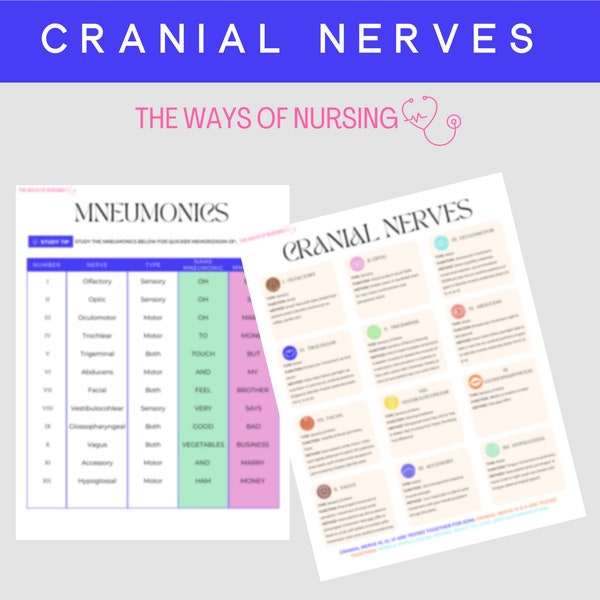 Cranial Nerves - Etsy