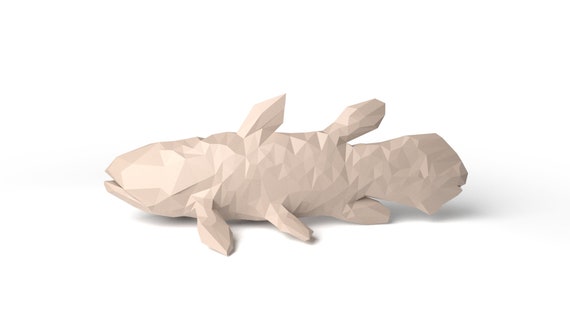Coelacanth Low Polygonal 3D Model Digital Figure STL File for | Etsy