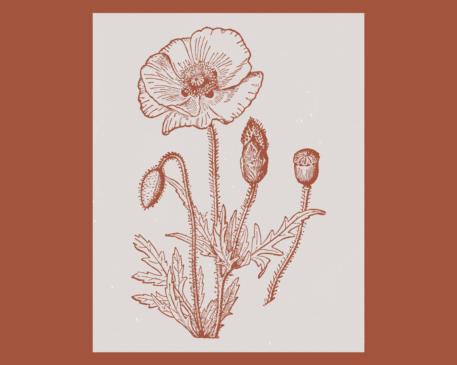 Poppy Flower Poster, Flower Wall Art, Instant Download, Minimalist ...