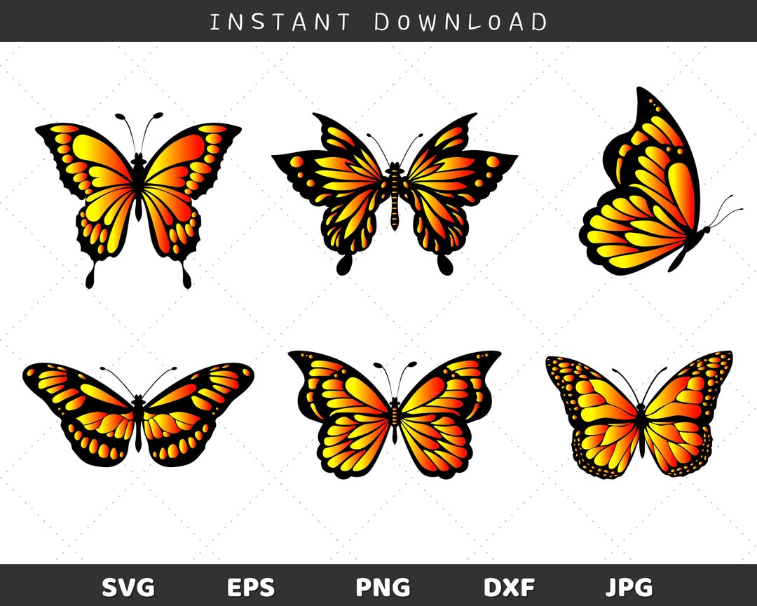 Butterfly Svg,butterfly Png,butterfly Beautiful Color,butterfly Clipart ...