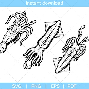 Squid Svg,sea Squid Svg,fisherman Svg,sea Animals Svg, Fishing Svg ...