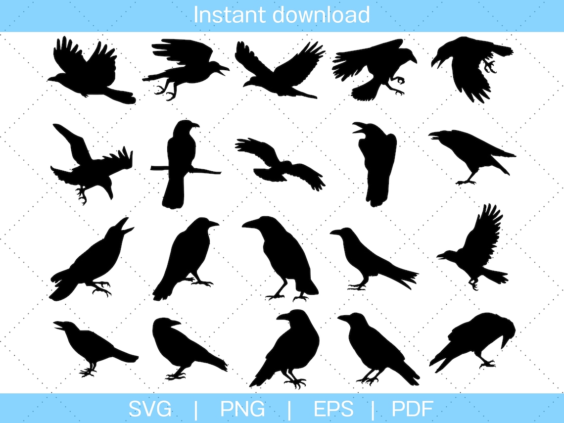 Bird Svg Pigeon Svg Seagull Svg Dove Svg Eagle Svg Hawk - Etsy