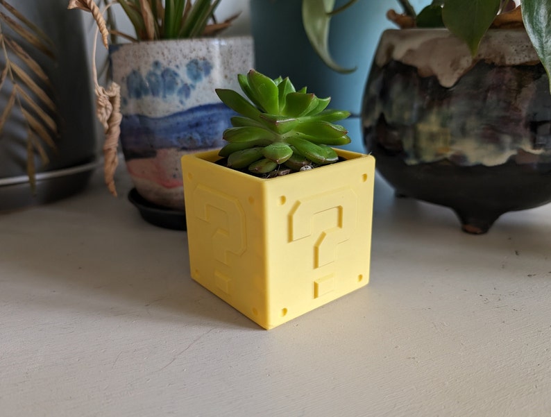 Super Mario Planters / Nintendo Gift, Gamer Gift, Succulent Air Plant ...