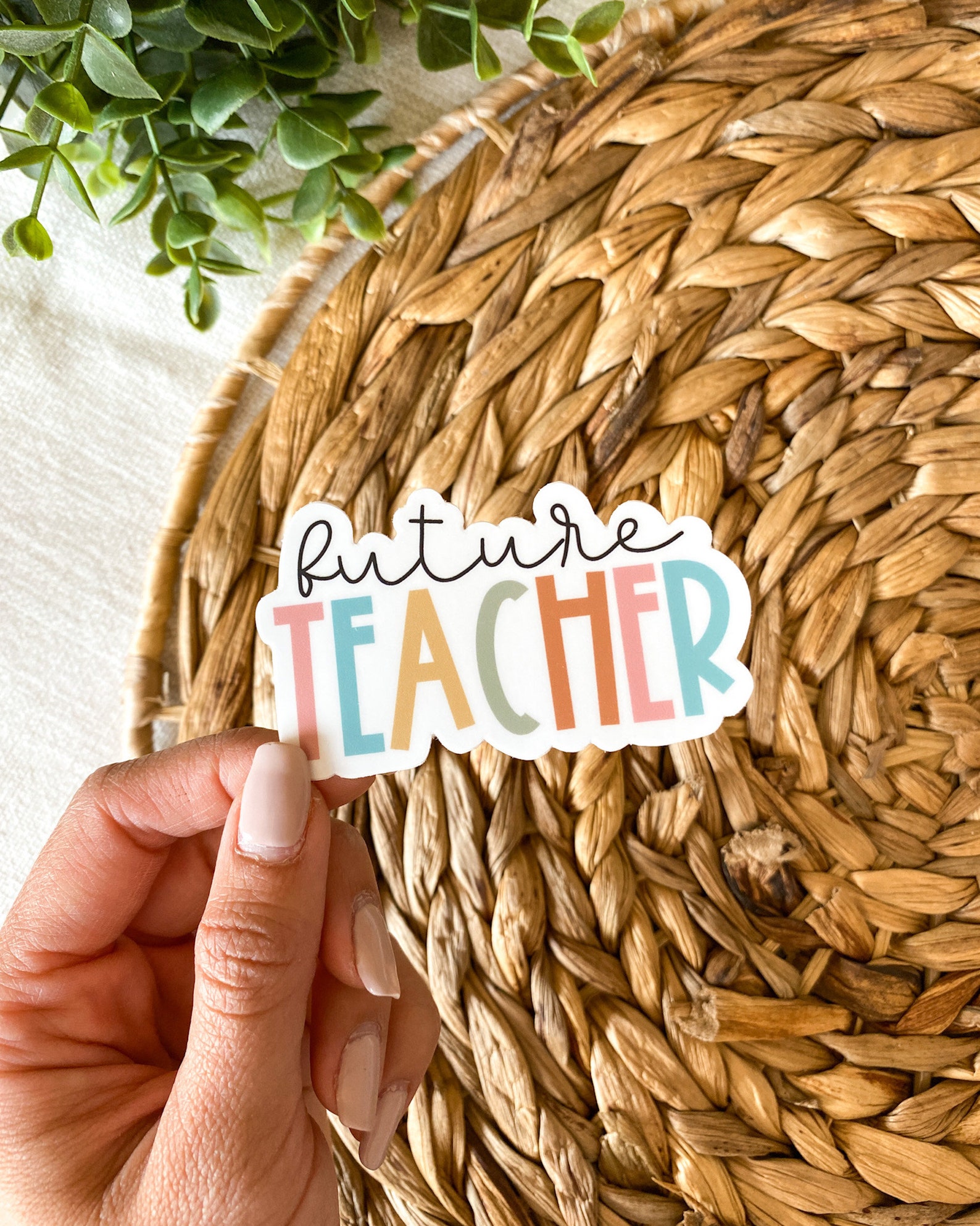 Future Teacher Sticker | Vinyl Waterproof Sticker, Teacher Appreciation ...