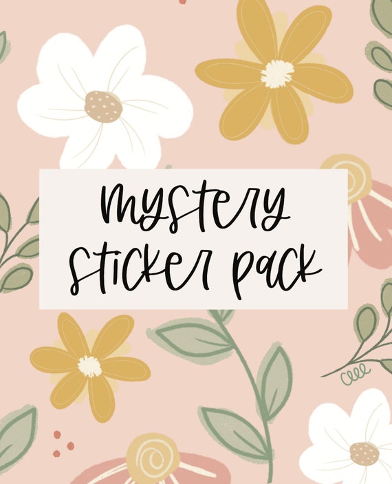 Mystery Sticker Pack Sticker Surprise Sticker Bundle | Etsy