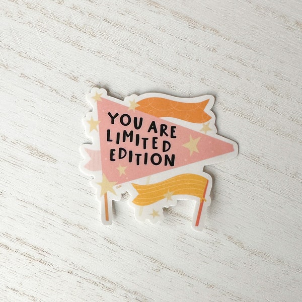 Limited Edition Stickers - Etsy