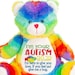 Embroidered Autism Bear, Anxiety Bear, Worry Bear, Comfort Toy for ...
