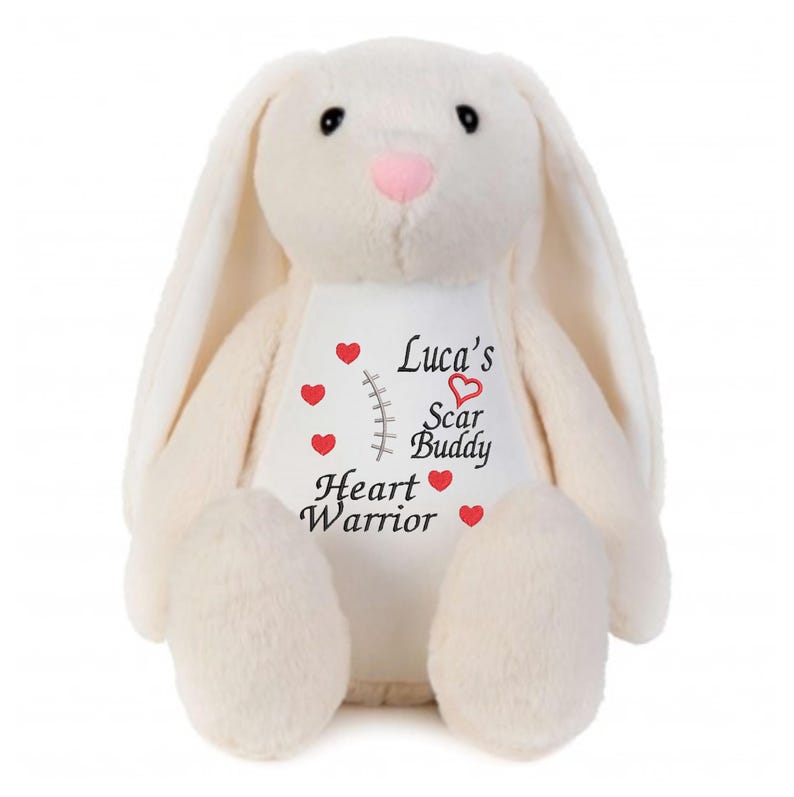 Personalised Bunny Rabbit Teddy 42cm, Embroidered Name Soft Toy, Heart ...