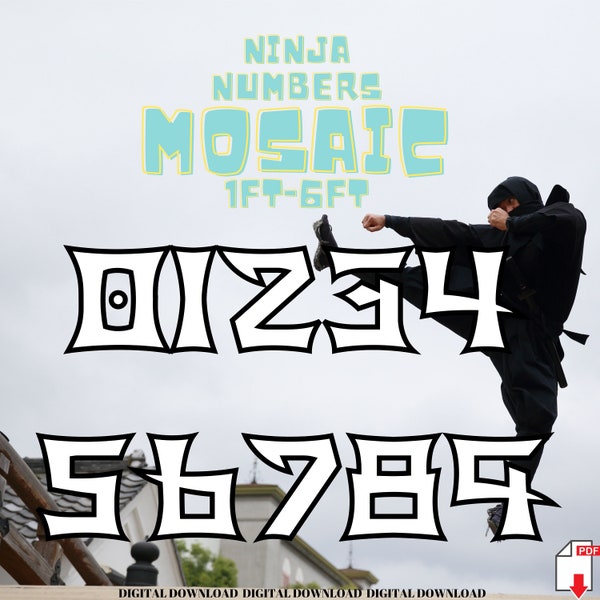 Ninja Numbers - Etsy