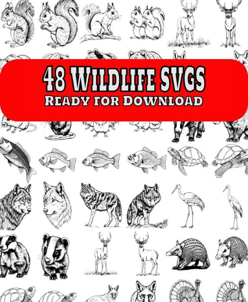 48 Wildlife Svgs - Etsy