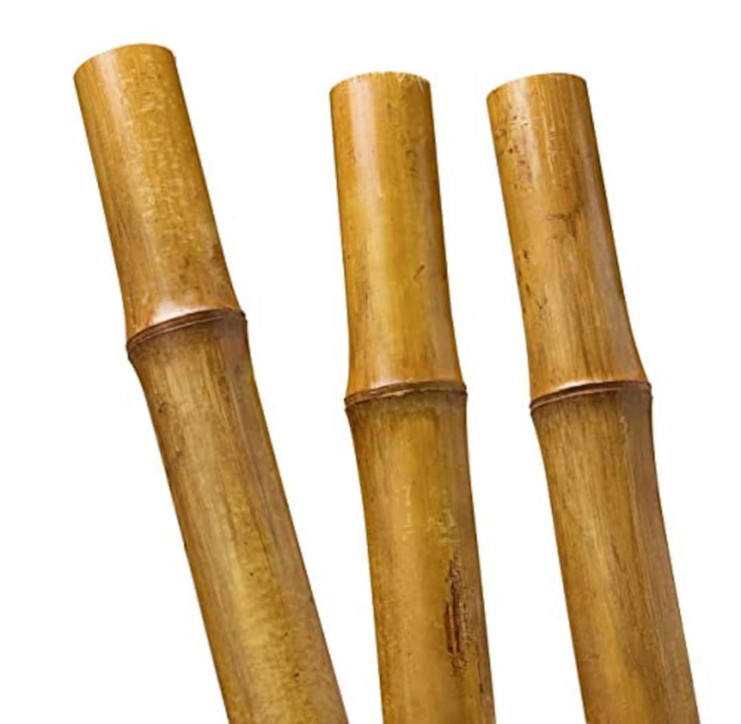 Bamboo Garden Canes Strong and Durable Premium Quality Garden Canes ...