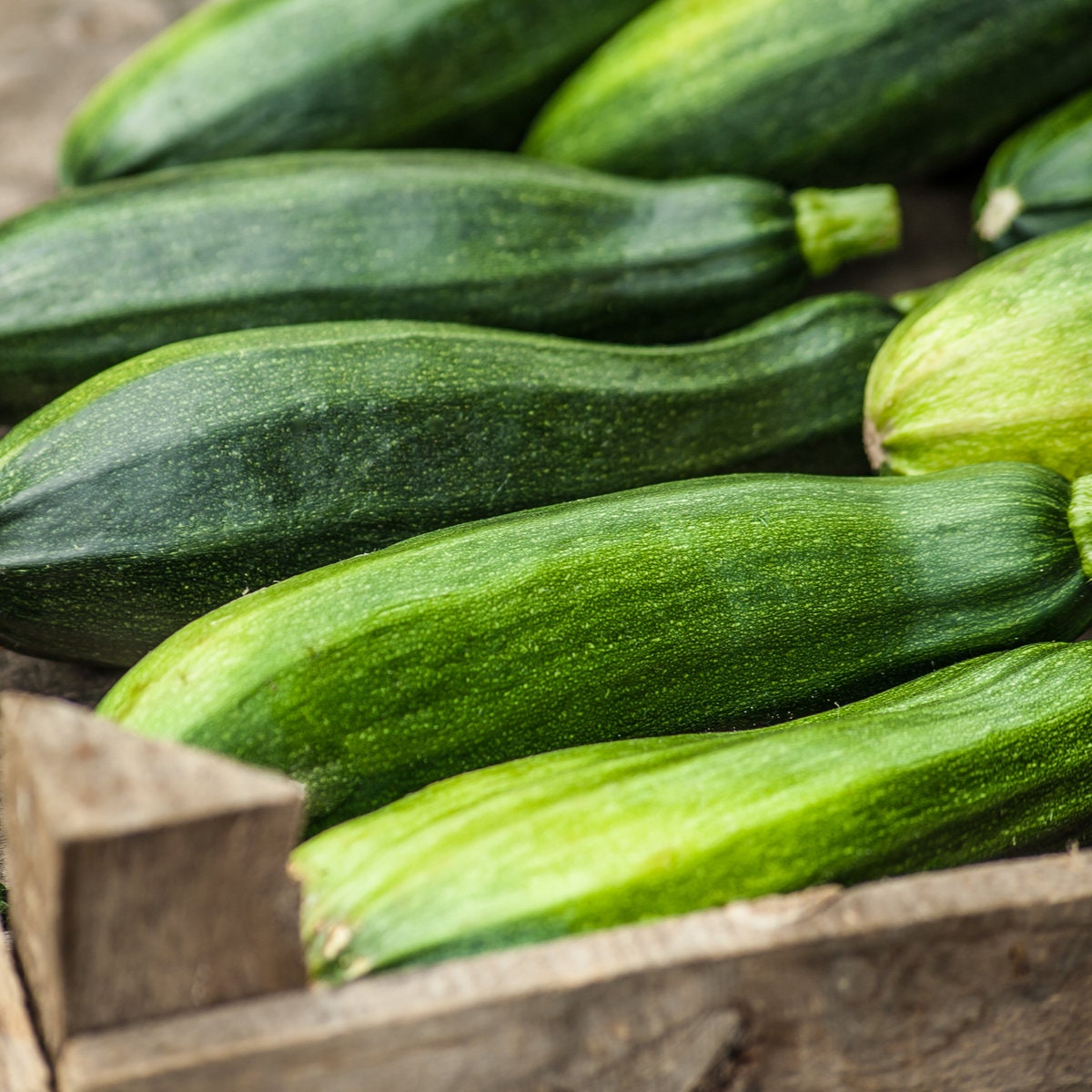 Vegetable Plants Courgettes 3 X Full Plants in 9cm Pots - Etsy UK