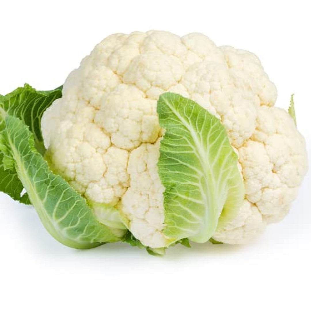 Winter Vegetable Plants Cauliflower 'maystar' 6 X Plug Plant Pack Grow ...