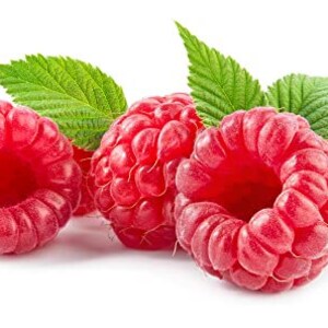 Fruit Plants Raspberry 'malling Juno' 1 X Large Plant in a 2 Litre Pot ...