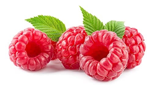 Fruit Plants Raspberry 'malling Juno' 1 X Large - Etsy UK