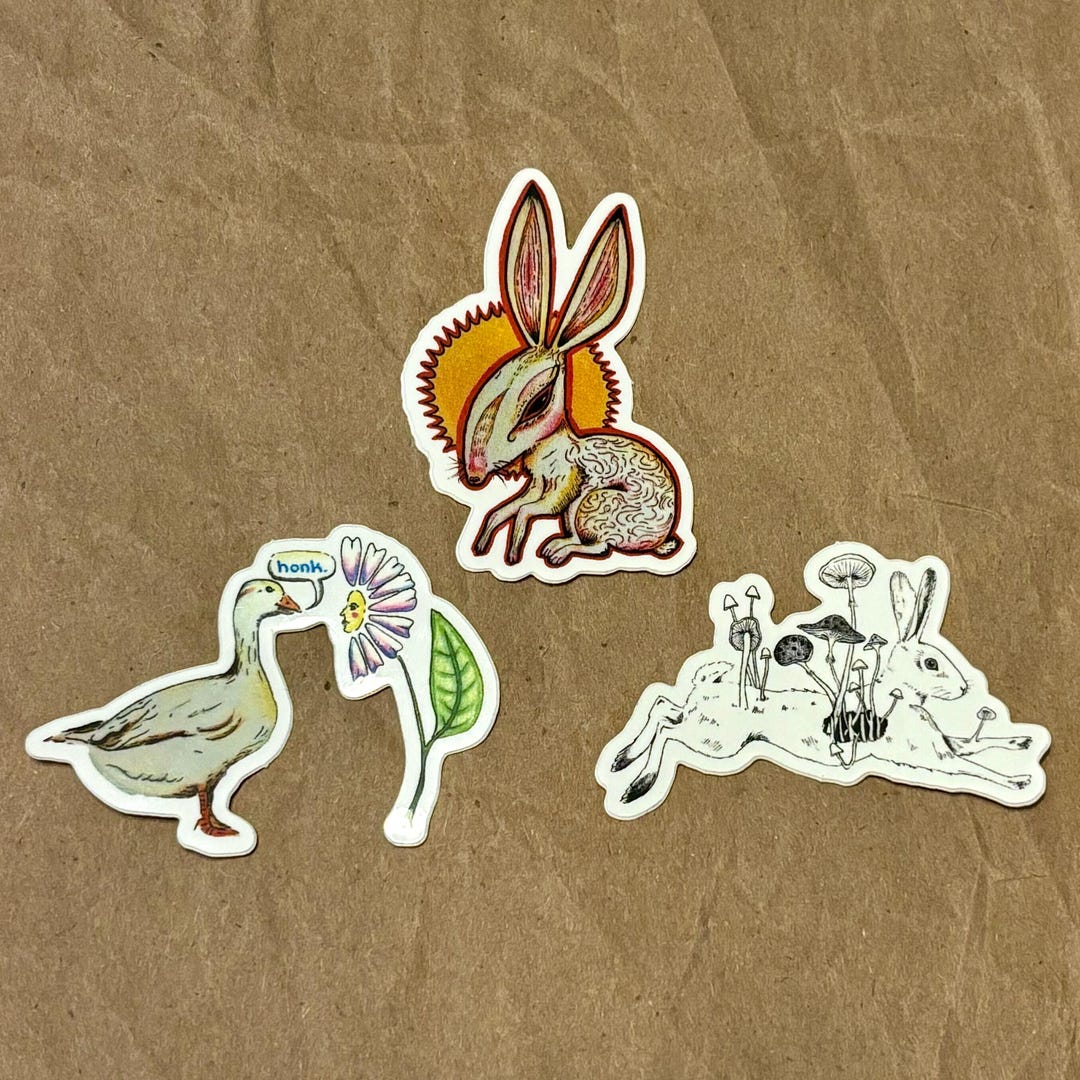 Nature Sticker Pack: Rabbit Goose Sun and Flower three Pieces - Etsy