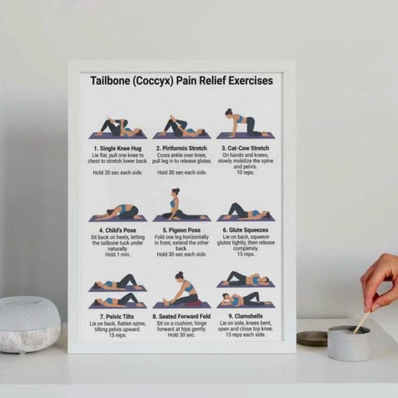 Tailbone (coccyx) Pain Relief Exercises PDF, Coccydynia Stretches ...