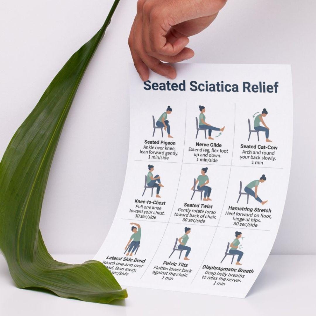 Sciatica Relief Chair Routine, Seated Stretching Chart PDF, Gentle ...