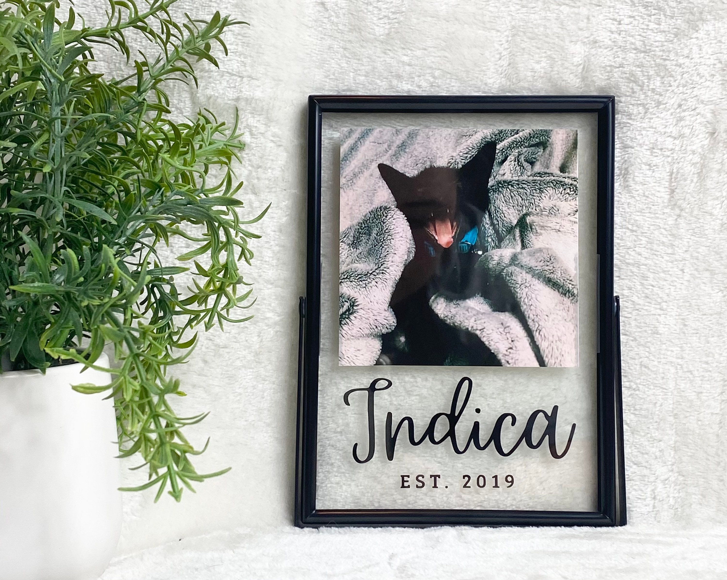 Cat Lovers Custom Cat Frame With Picture Customizatble - Etsy