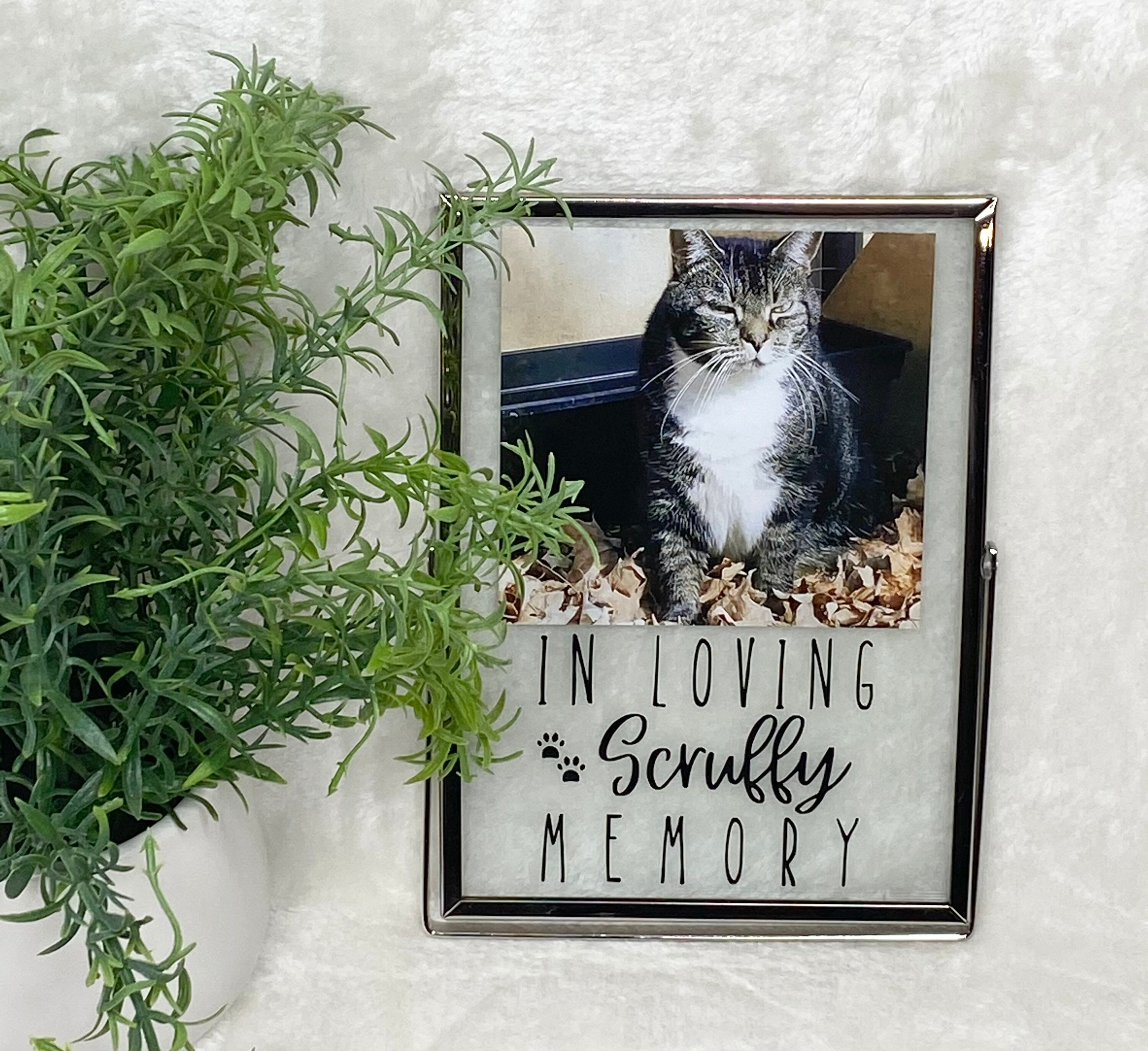Cat Lovers Custom Cat Frame With Picture Customizatble - Etsy
